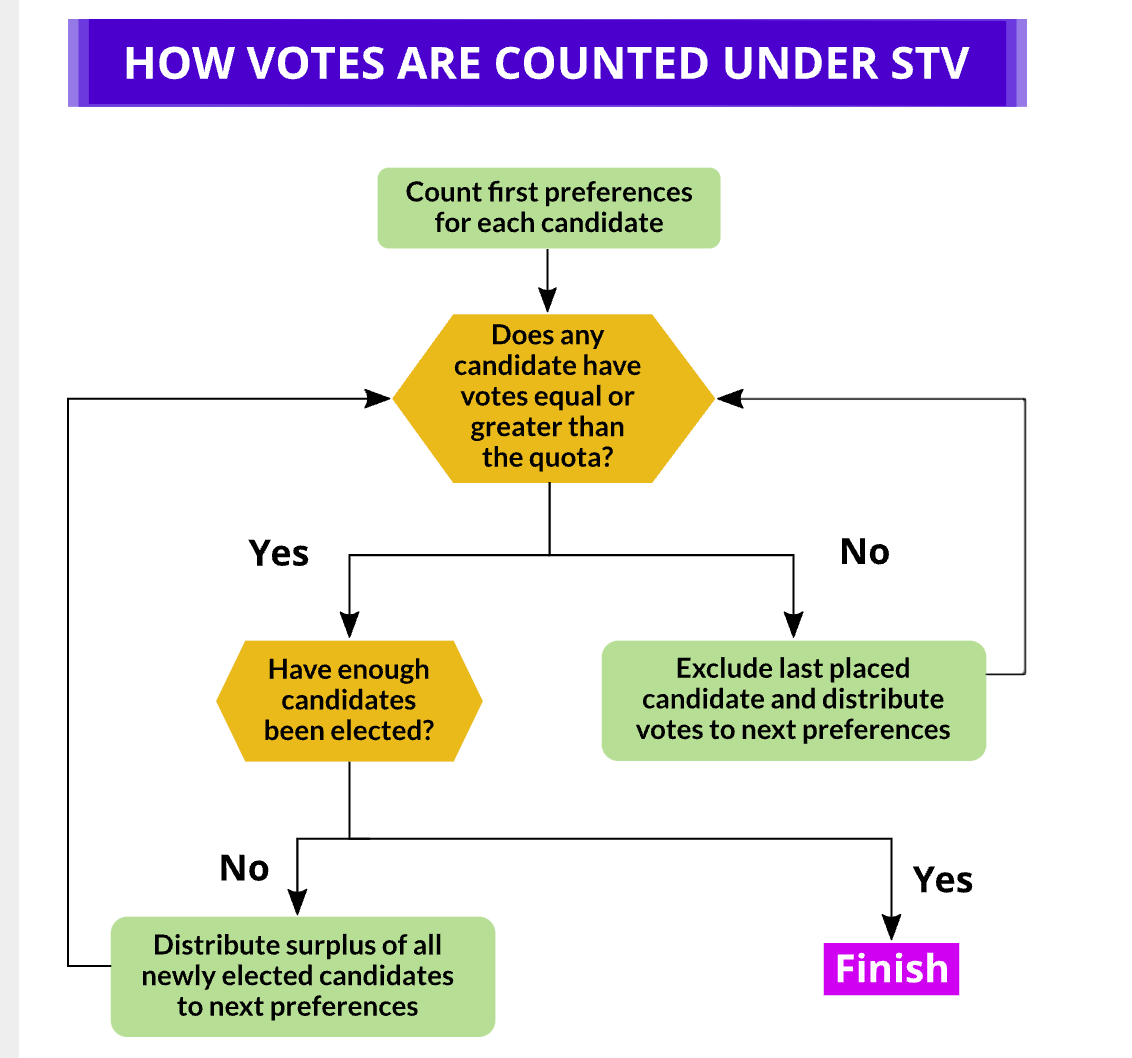 How Votes are Counted under STV - React Kiwi